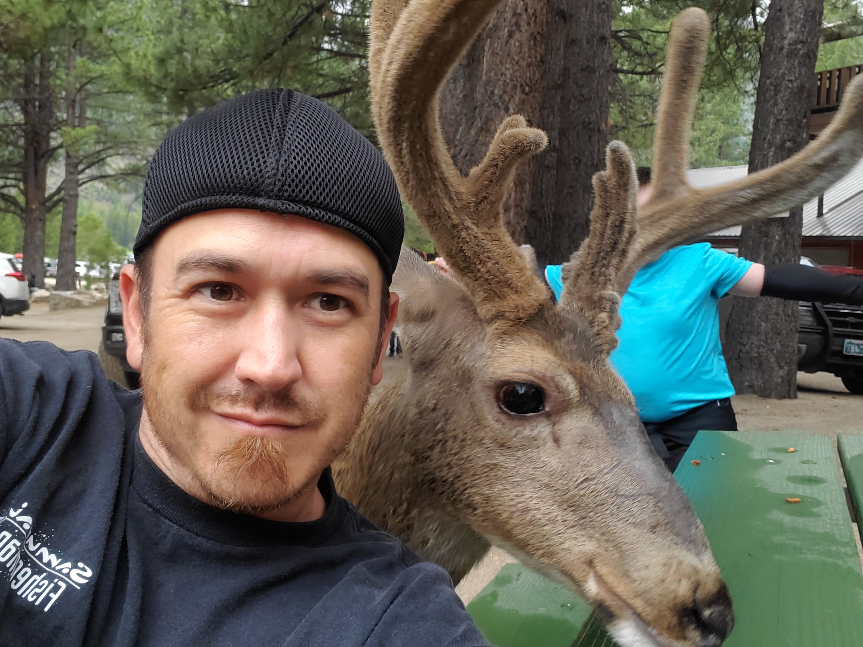 Bucky – Mr. Boyd's Class